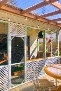 Your cats will adore these 20 DIY outdoor catio ideas for porch, patio ...